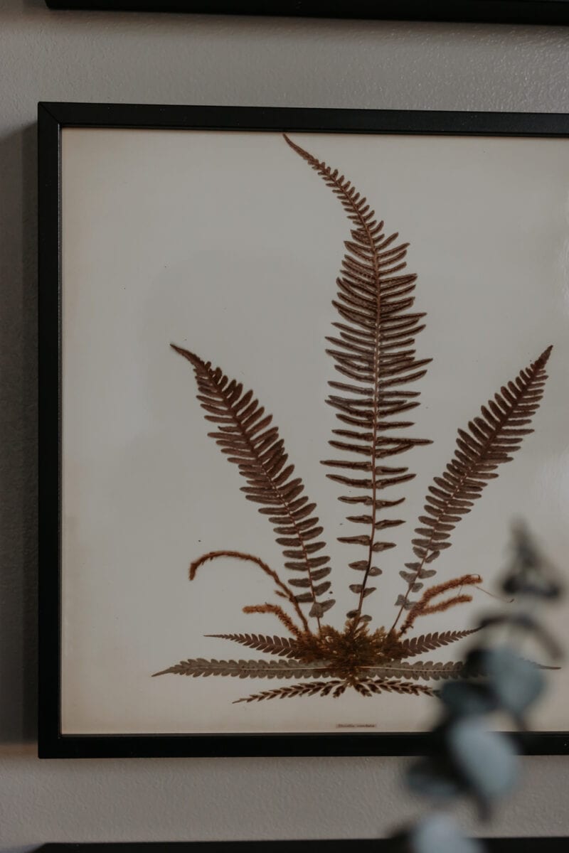 Tilepix Framed Photo Tiles - My Honest Thoughts