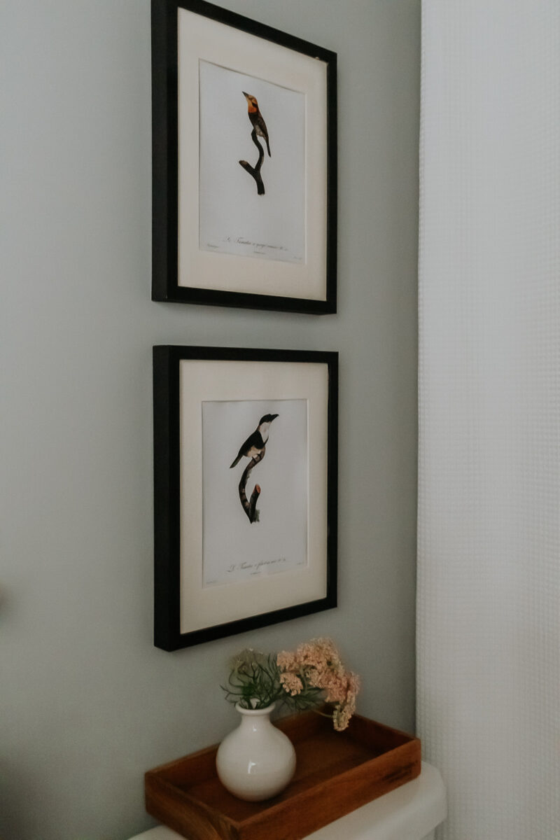 How To Spray Paint Picture Frames