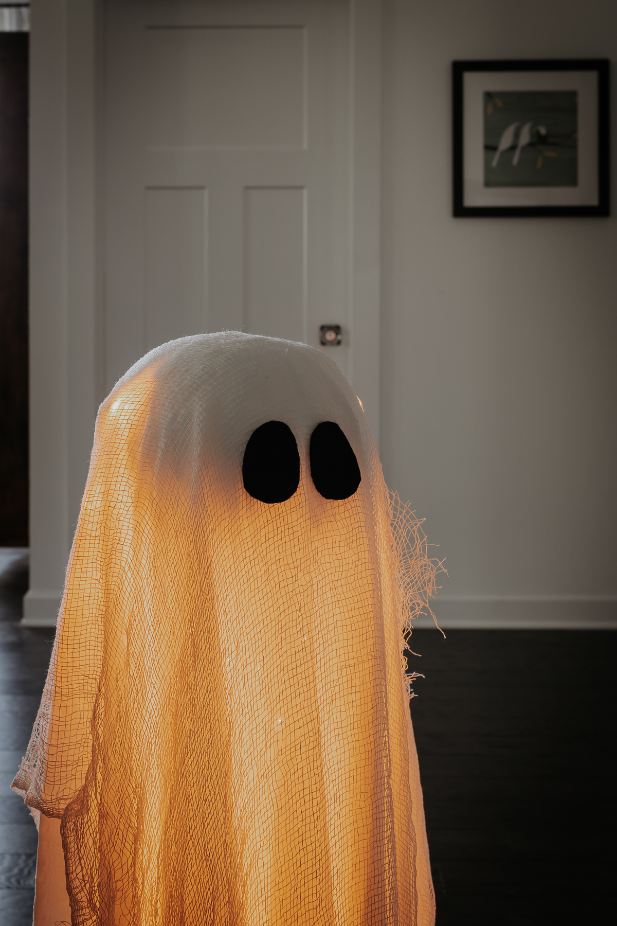 Create Your Own DIY Halloween Ghosts With Lights | DecorHint