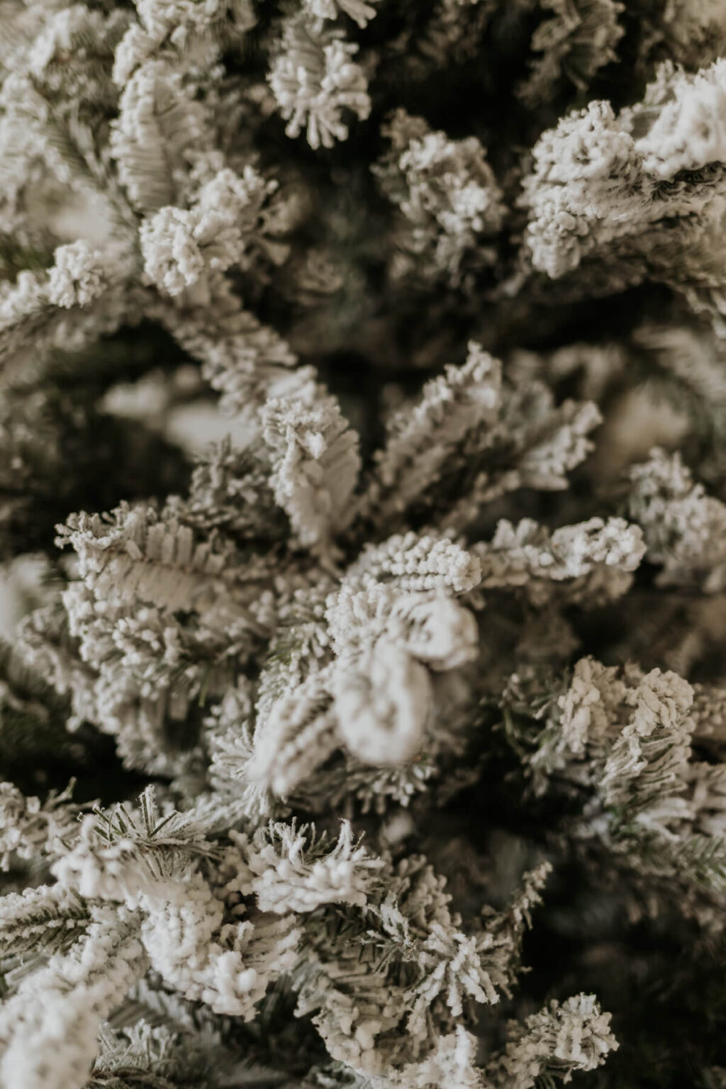 Our New Flocked King Of Christmas Tree + Review