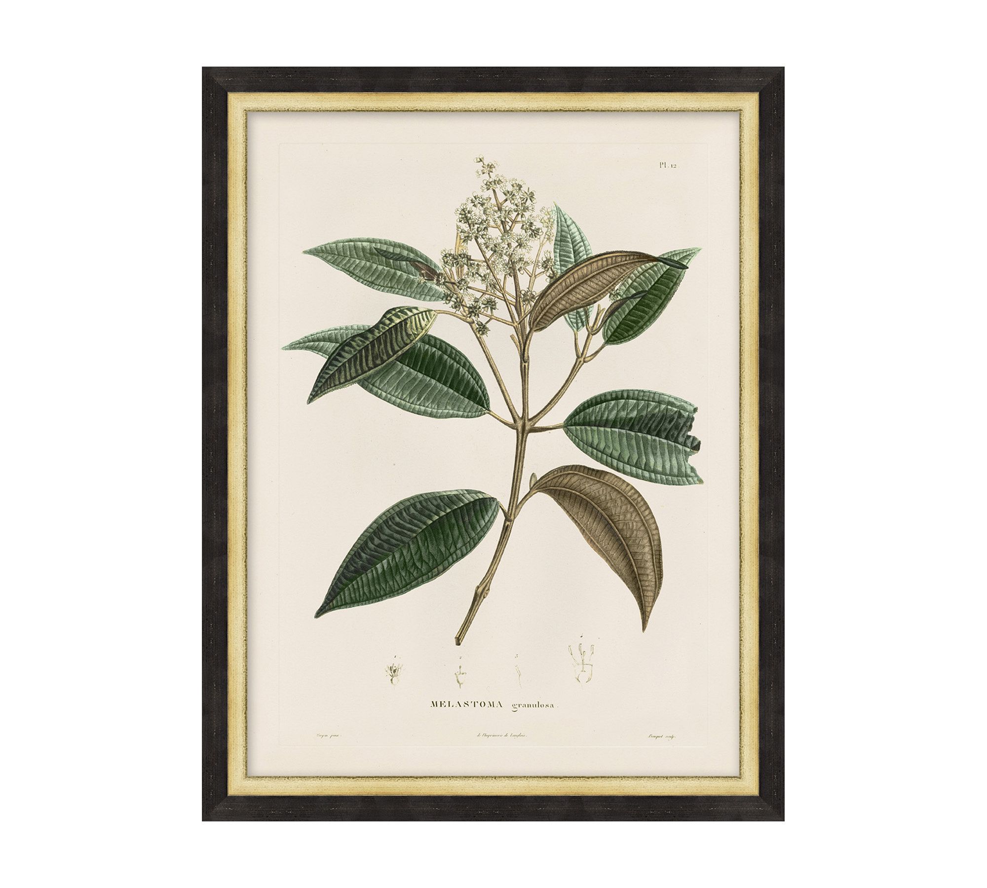 Our Decorating Plans And House Projects For 2024