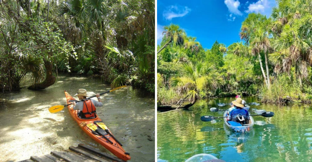 12 Florida Springs With Crystal-Clear Water Perfect For Kayaking