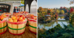 10 Michigan Fall Festivals Worth The Drive