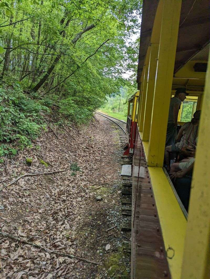 7 North Carolina Train Trips With The Best Scenic Views