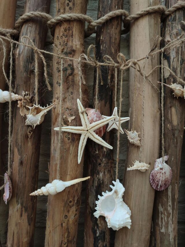 12 Delaware Coastal Christmas Décor Ideas Locals Swear By For A Serene ...