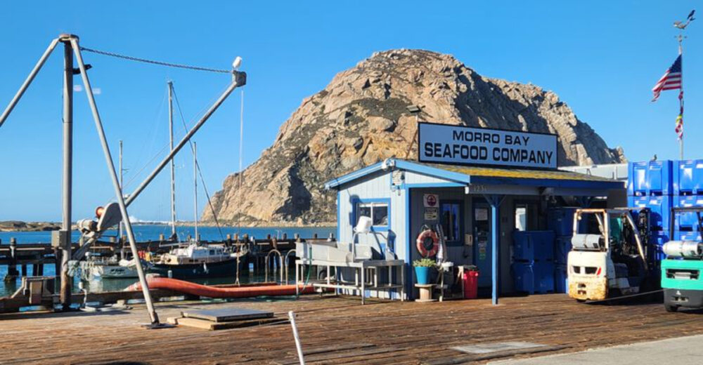 This Laid-Back California Town Is Quietly Becoming One Of West Coast's ...