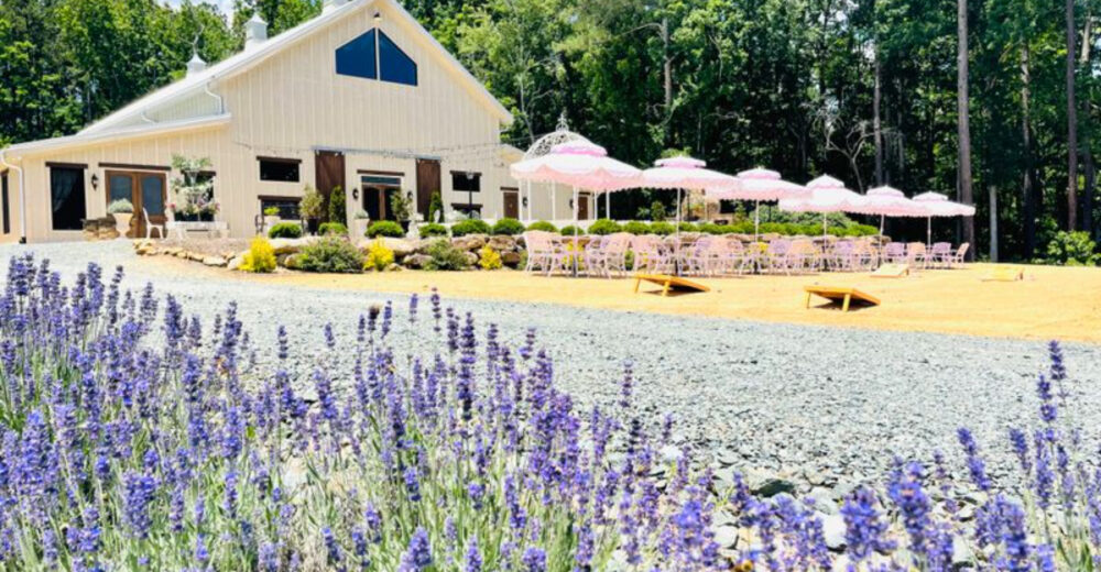 This North Carolina Lavender Farm Smells Like Heaven On Earth