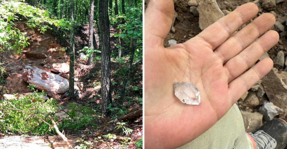 This Georgia Field Is Quietly Hiding One Of The Most Unique Experiences ...