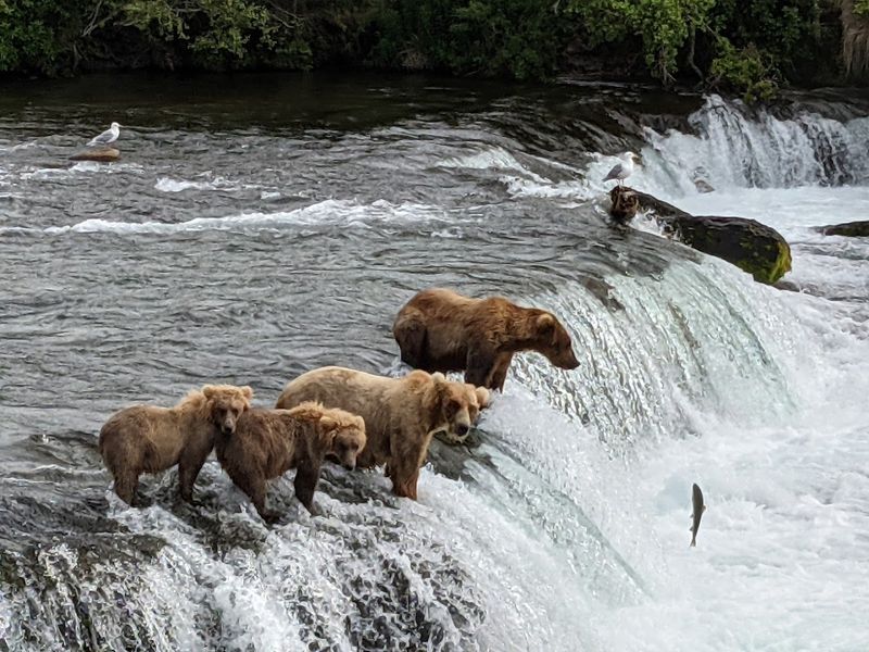 10 Little-Known Alaska Spots That Feel Completely Off The Map