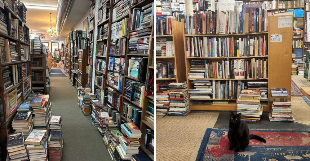 This Enormous Missouri Bookstore Is A Dream Destination For Readers