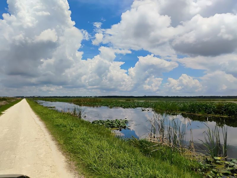 This Free Florida Wildlife Drive Offers Incredible Alligator Sightings ...