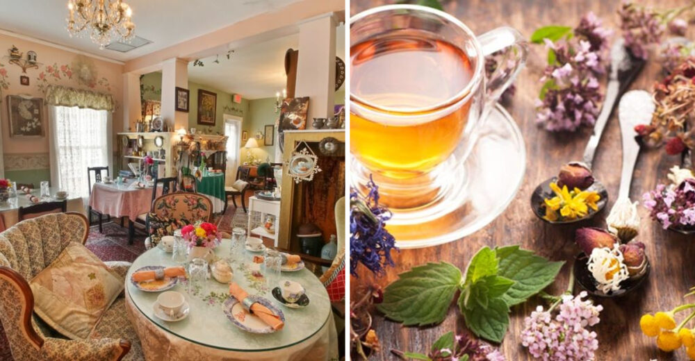 10 Charming Florida Tea Houses Where Every Cup Feels Like A Little Escape