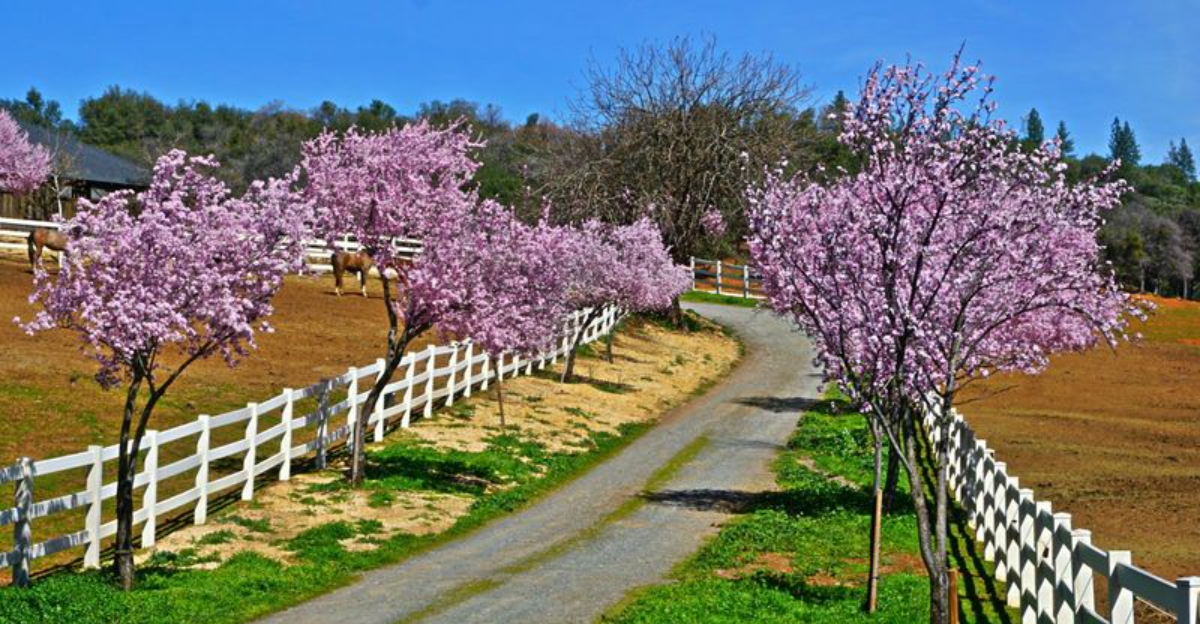 12 California Places With Names So Unusual They Already Sound Worth ...