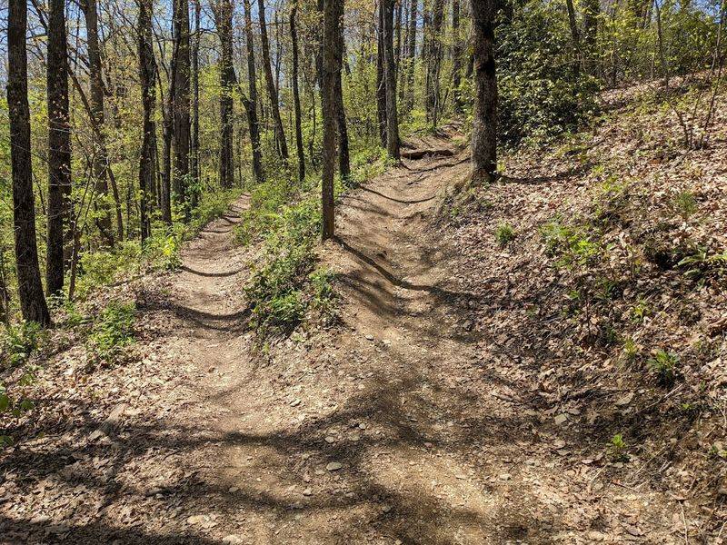 This North Carolina Trailhead Leads To A Mountain View Worth The Climb