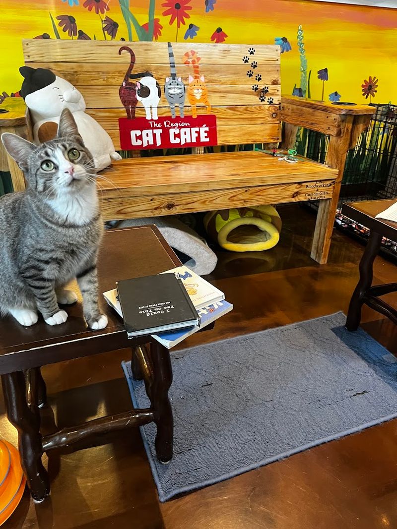 These 11 Indiana's Charming Cafés Come With Four Paws And Whiskers