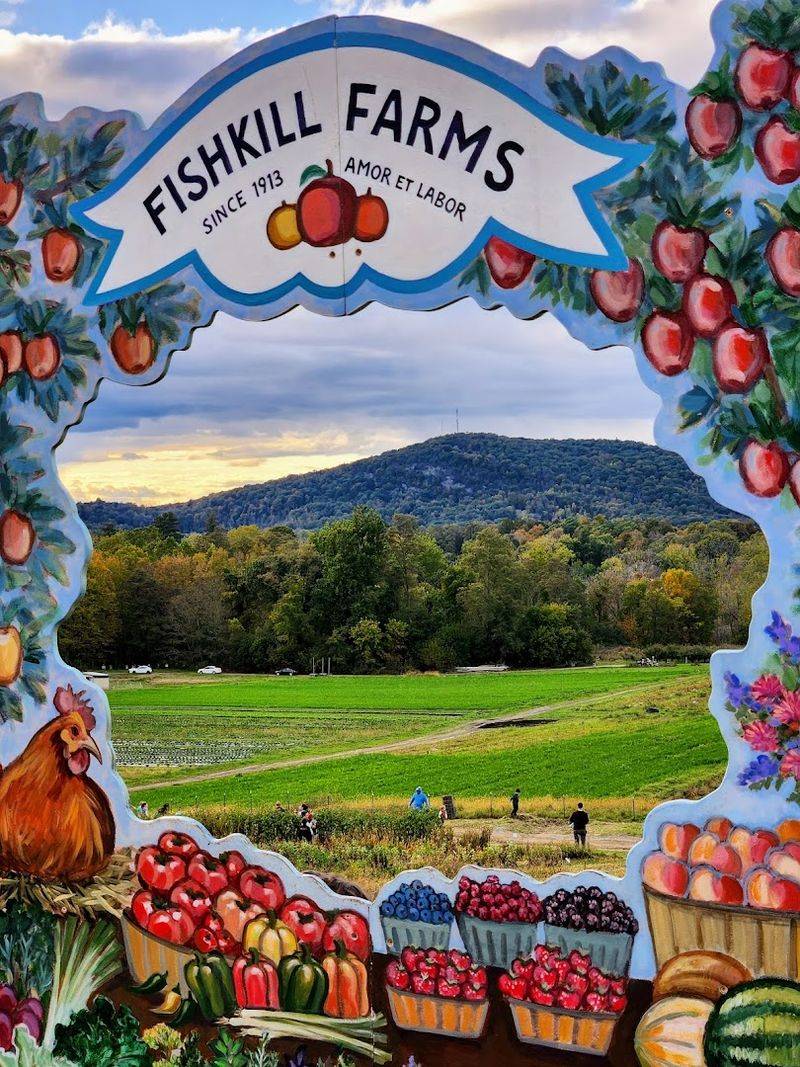 Pick Fresh Fruit And Enjoy A Peaceful Farm Day In New York
