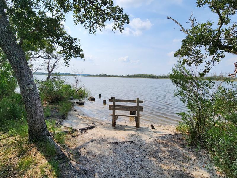 The Most Perfect Two-Bench View In North Carolina Feels Like A Secret ...