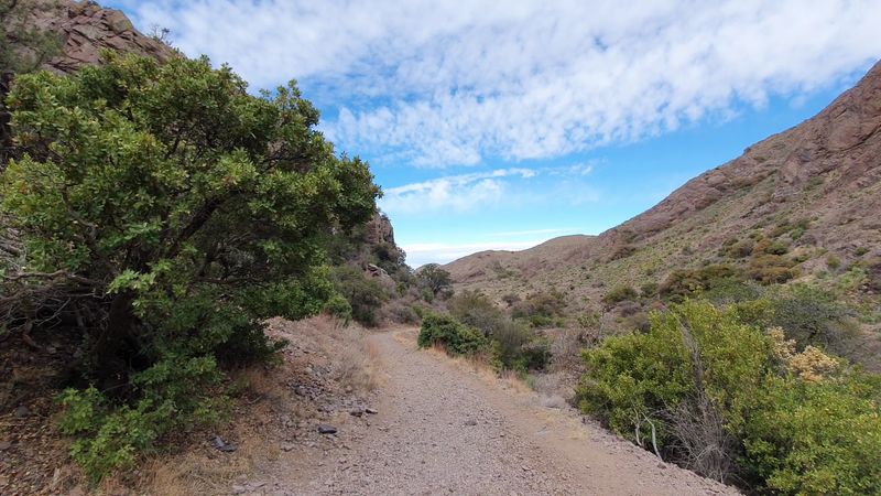 The New Mexico Hike Where A Desert Spring And Forgotten Ruins Wait At ...