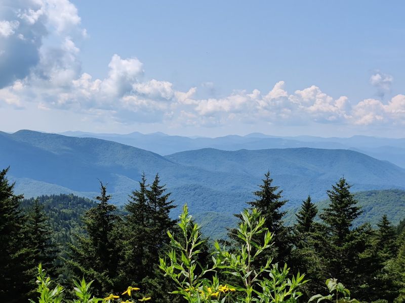 The North Carolina Mountain Road That Rises Above 6,000 Feet And Feels ...