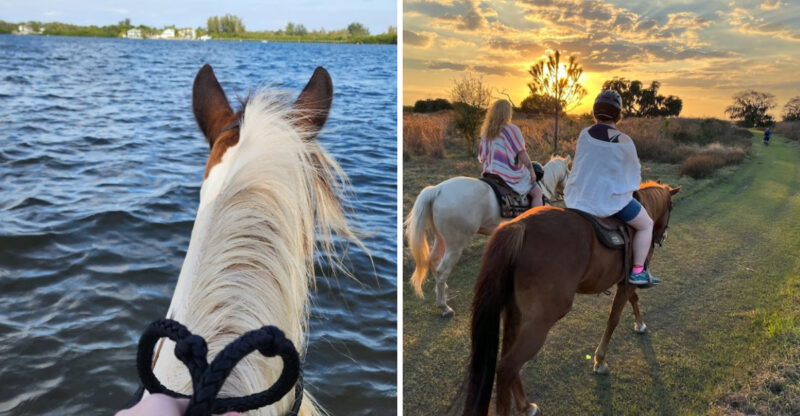 The Peaceful Florida Ranches Where Horseback Riding Feels Easy, Scenic ...