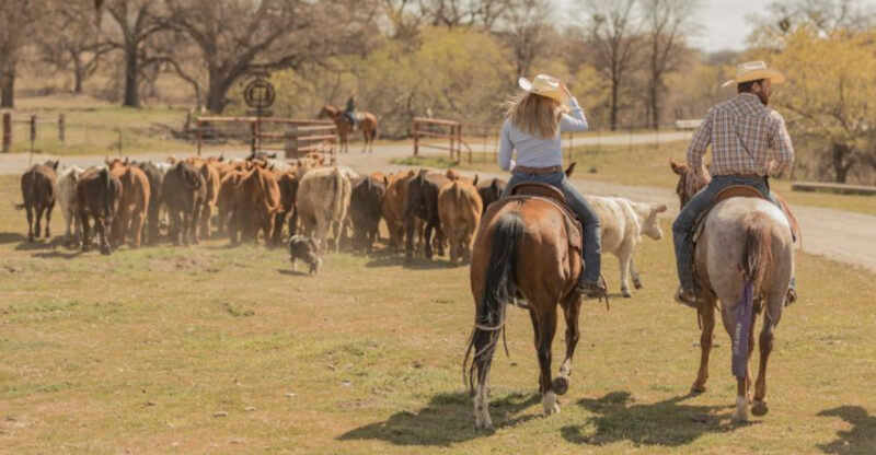 This 20,000-Acre California Ranch Lets You Trade Everyday Life For A ...