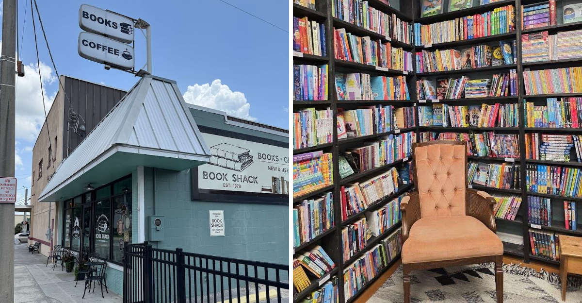 This Florida Bookstore Turns Old Books Into New Favorites Waiting To Be ...