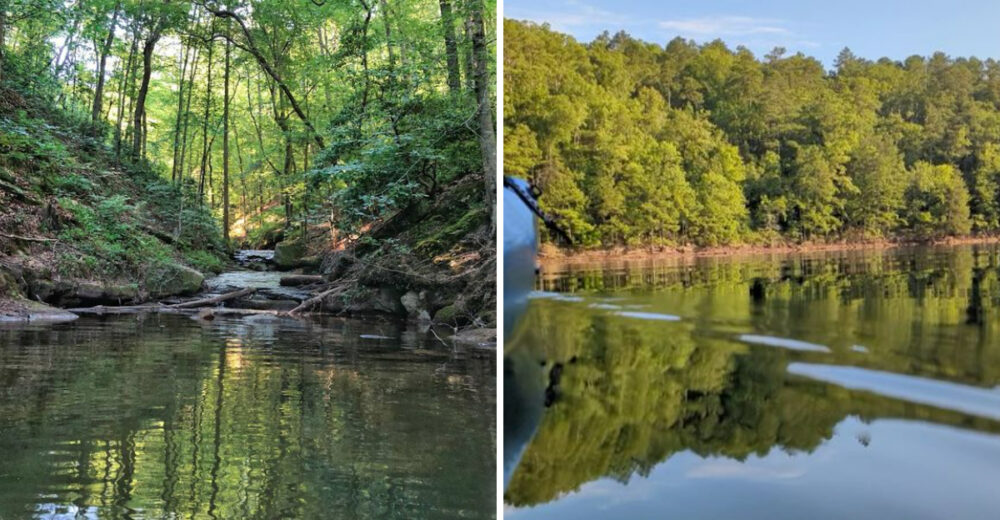 This Hidden Alabama Gem Is A Lake That Feels Completely Dreamlike