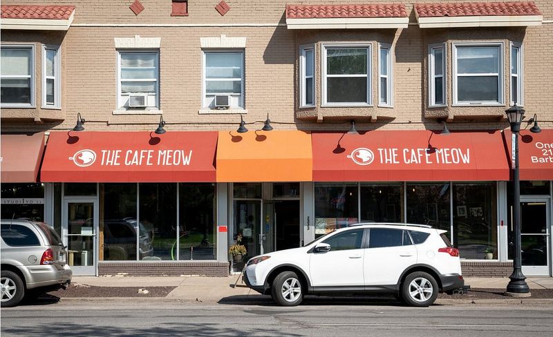 This Small Minnesota Cat Cafe Lets You Sip Coffee Beside Rescued Felines